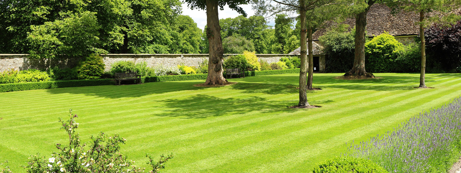quality-lawn - Jubilee Seeds & Turf